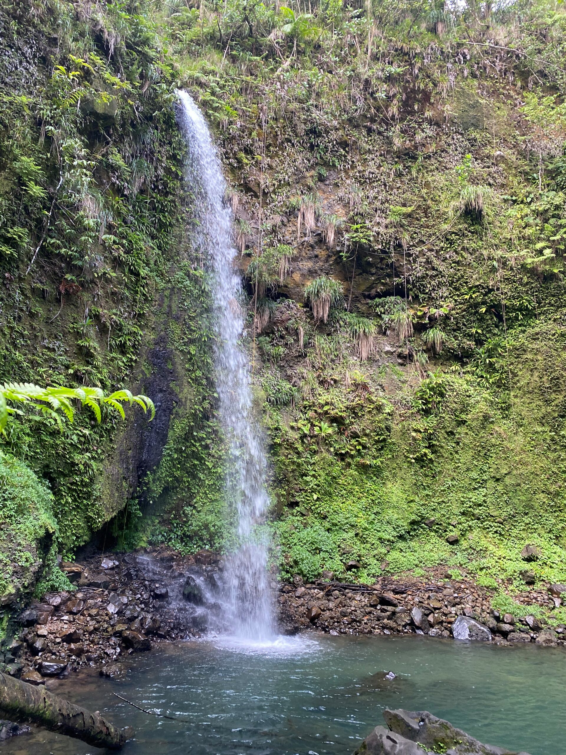 Holiday Adventure Travels, Dominica - Evolution of Balance | Bozeman MT
